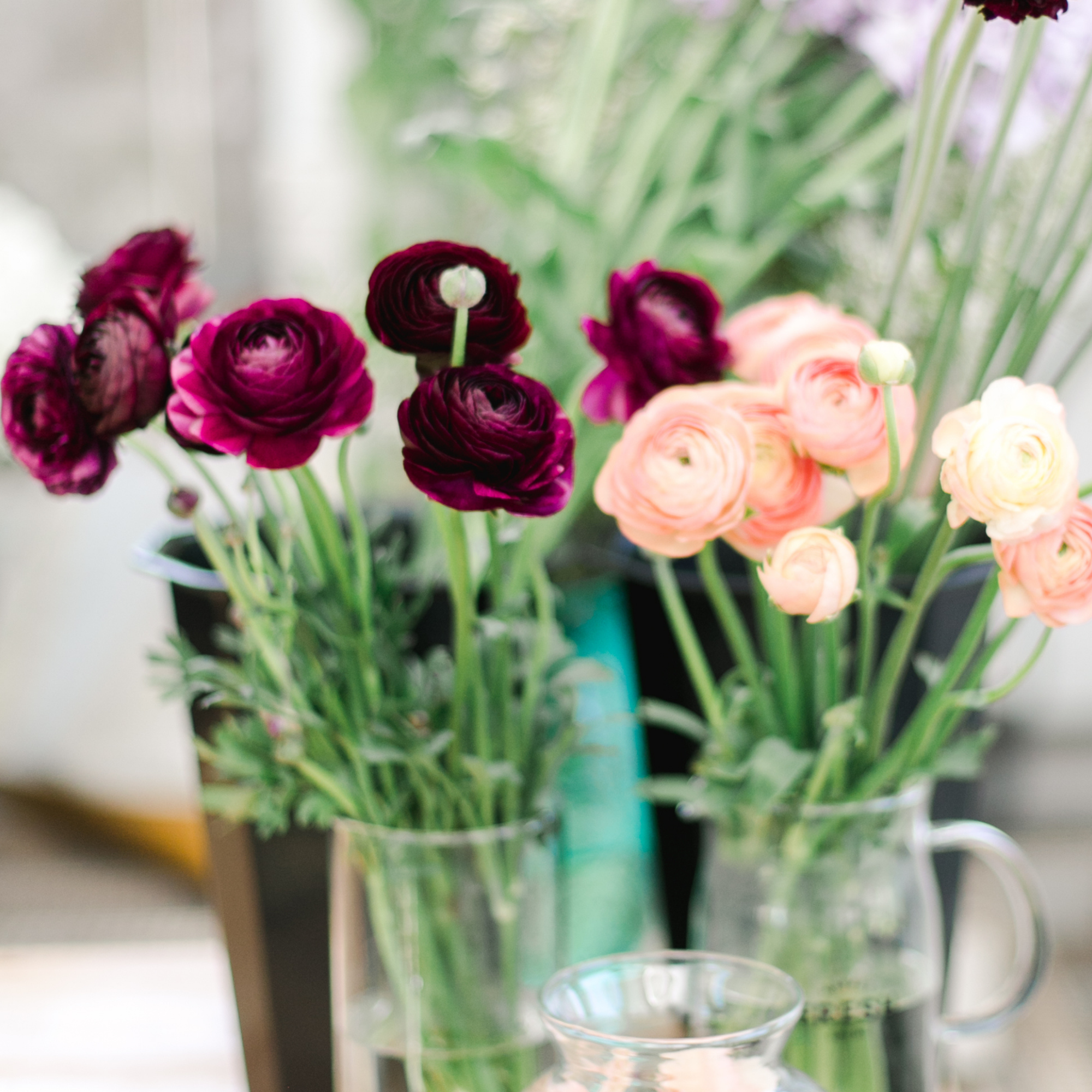 Bulk Ranunculus for DIY Weddings & Events - Bloom Culture Flowers