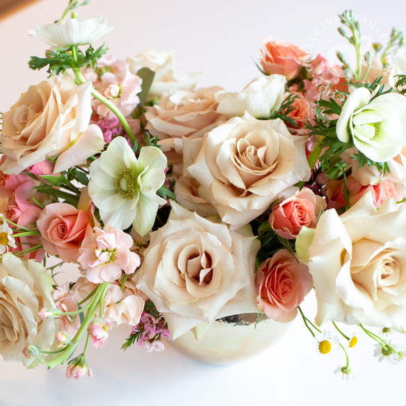 DIY Collections – Bloom Culture Flowers