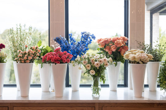 Bulk Flowers by Color – Bloom Culture Flowers