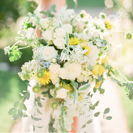 The Wildflower Collection – Bloom Culture Flowers